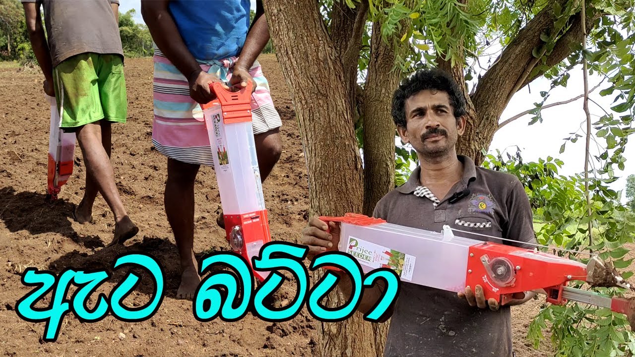 ඇට බට්ටාගෙන් ඇට සිටුවීම - Ata Batta /Ata Battagen Ata Situwima / Hand ...
