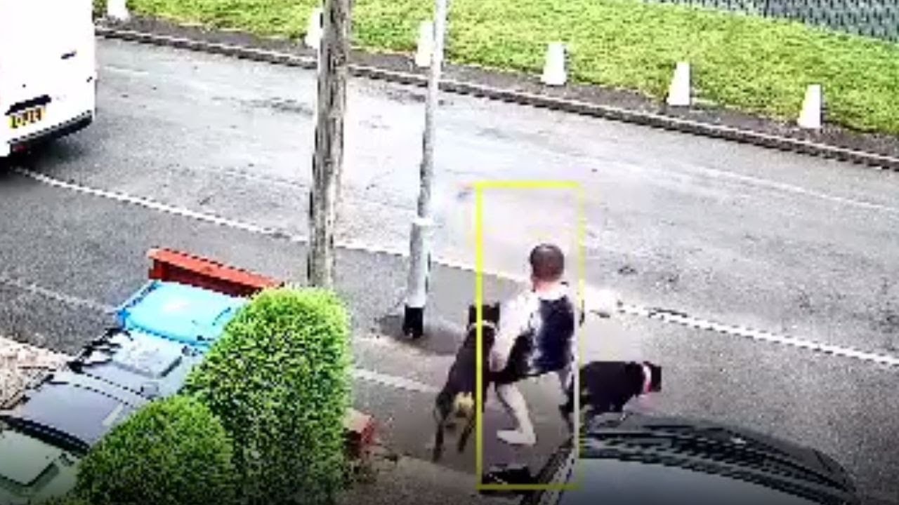 Security Cam catches unsuspecting man getting 'grounded' by hyper ...