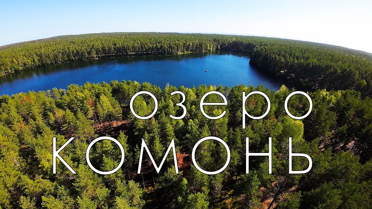 Лесная тусовка - YouTube