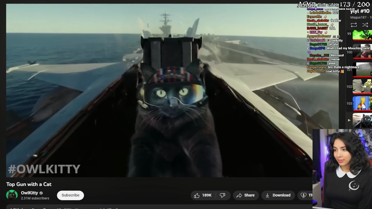 Susu- Top Gun OwlKitty - YouTube