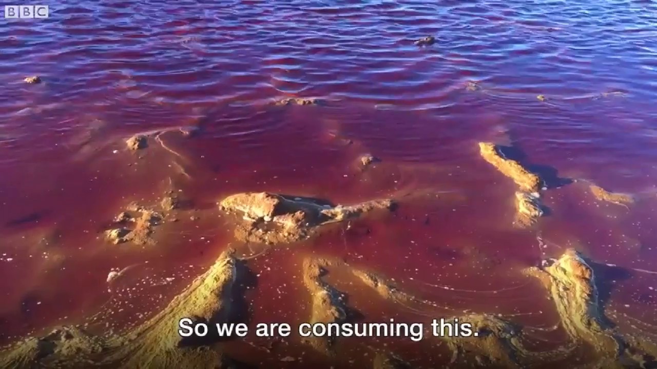 WORLD POLLUTION PERU(Cerro de Pasco City) - The MOST POLLUTED PLACE ON ...