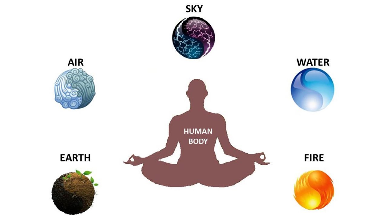 VISUAL DIAGNOSIS (OBSERVATION): Body Shape According to Five Elements ...