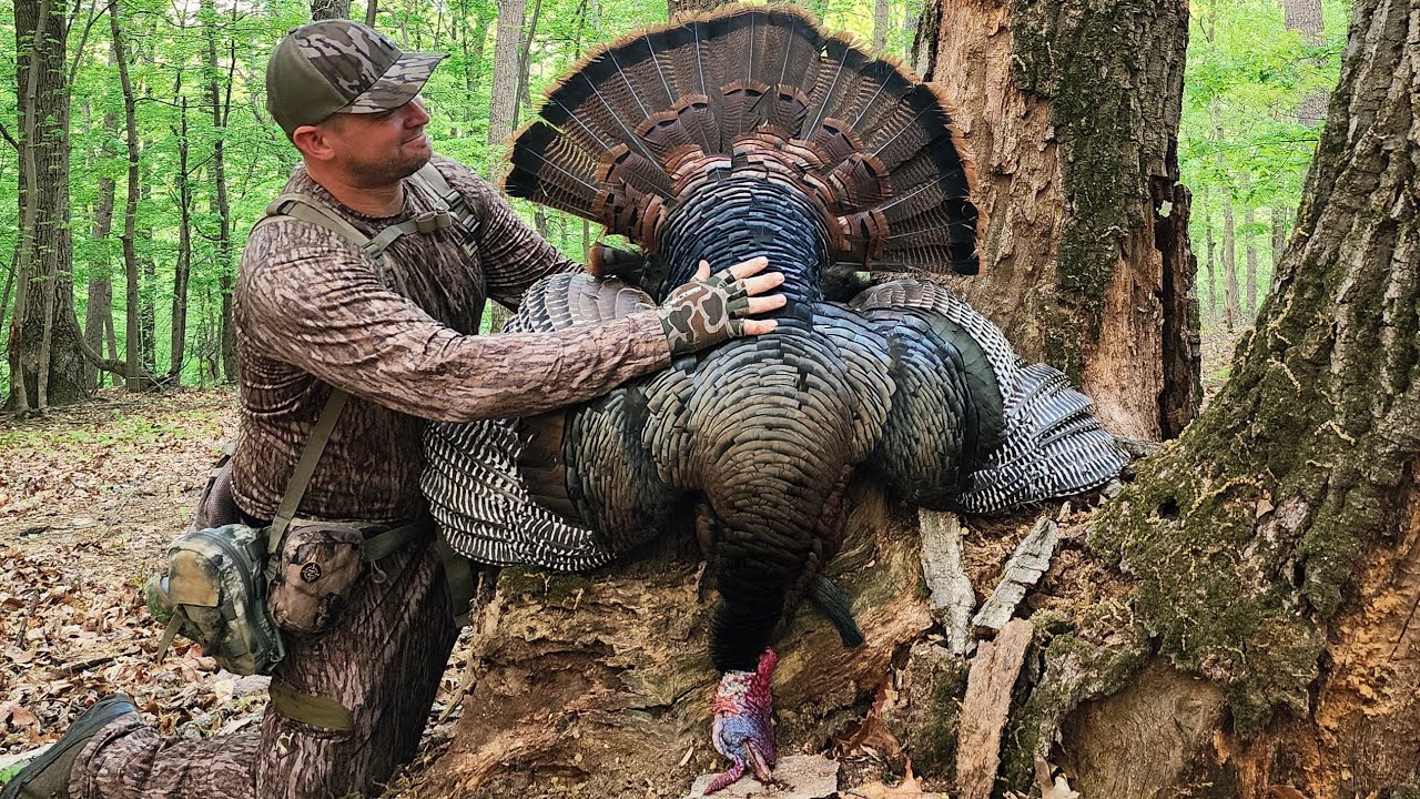 Limited Time Longbeard - YouTube