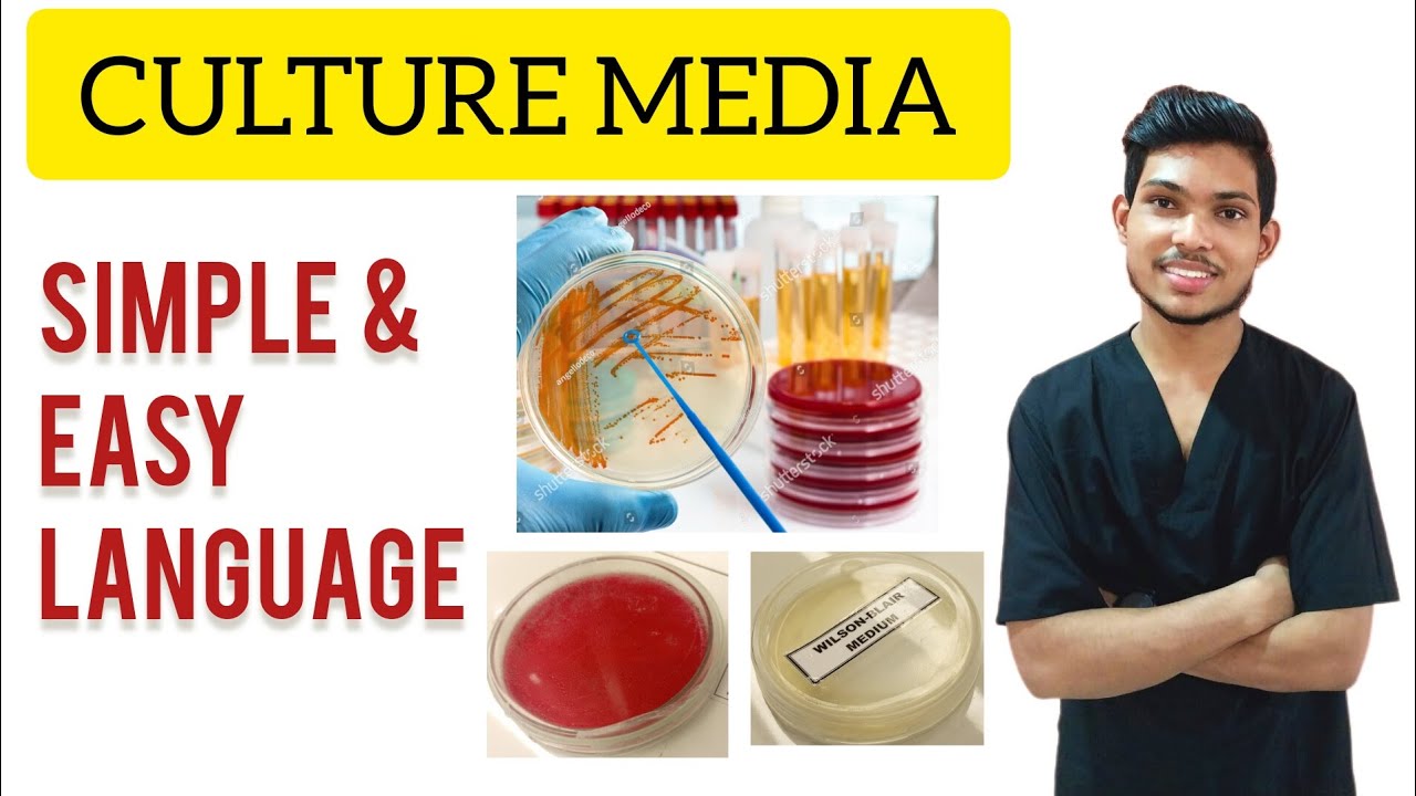 Culture media microbiology | Types , uses of culture media - YouTube