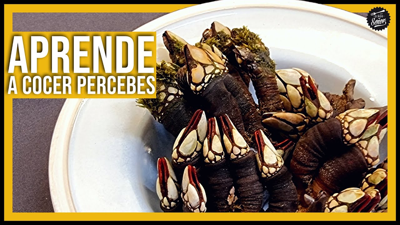 😋 CÓMO COCER PERCEBES fácil 🌊 ¡EN 1 MINUTO! - YouTube