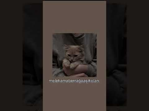 Aynur aydın-bi dakika ( slowed )