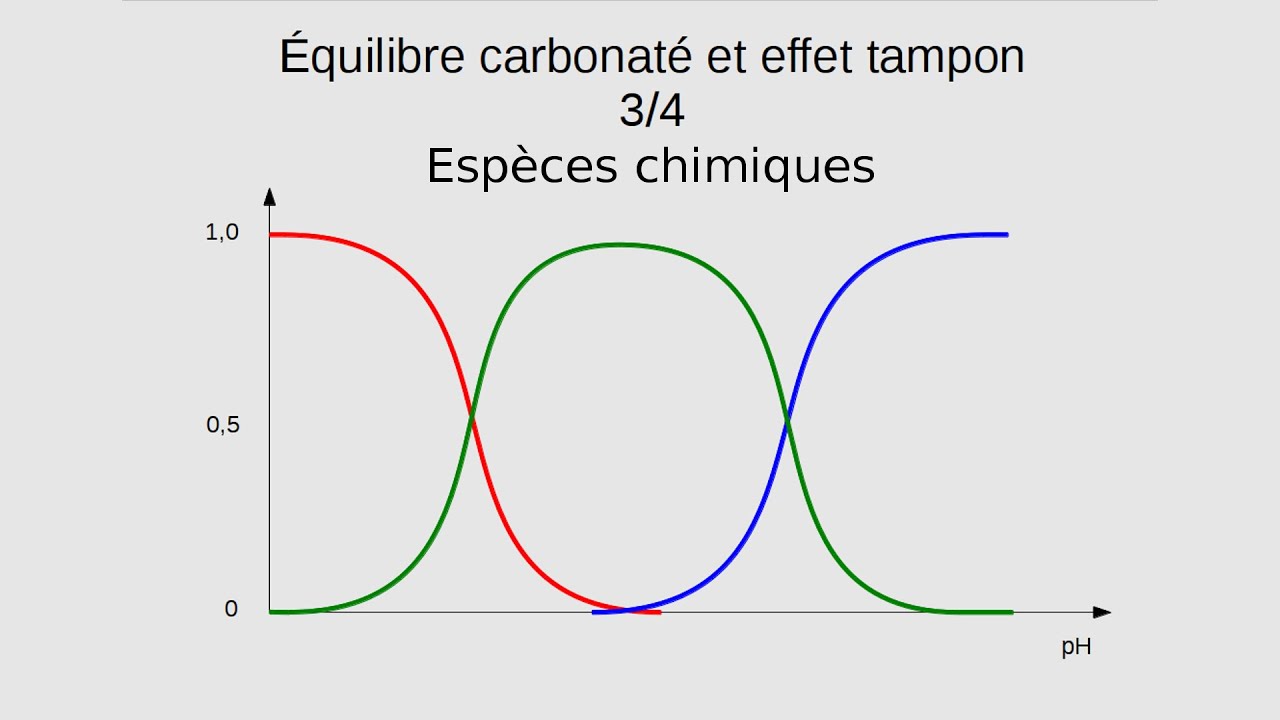 AquaMad 03 - Équilibre carbonaté et effet tampon - 3/4 - YouTube