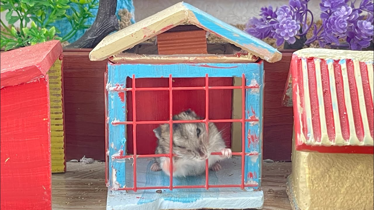 DIY Hamster Farm - DIY farm, Toys hamster - Farm84vn - YouTube