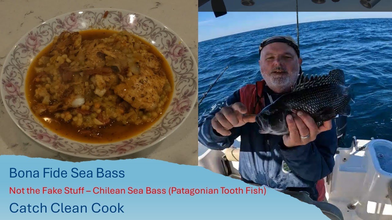 Catching REAL Sea Bass (not fake Chilean). My spin on Fish and Grits ...