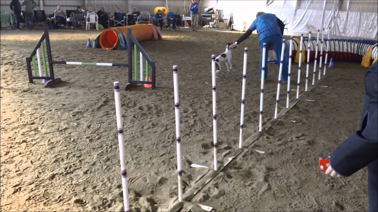 Remus at the Kayl McCann International Coursework Seminar - YouTube