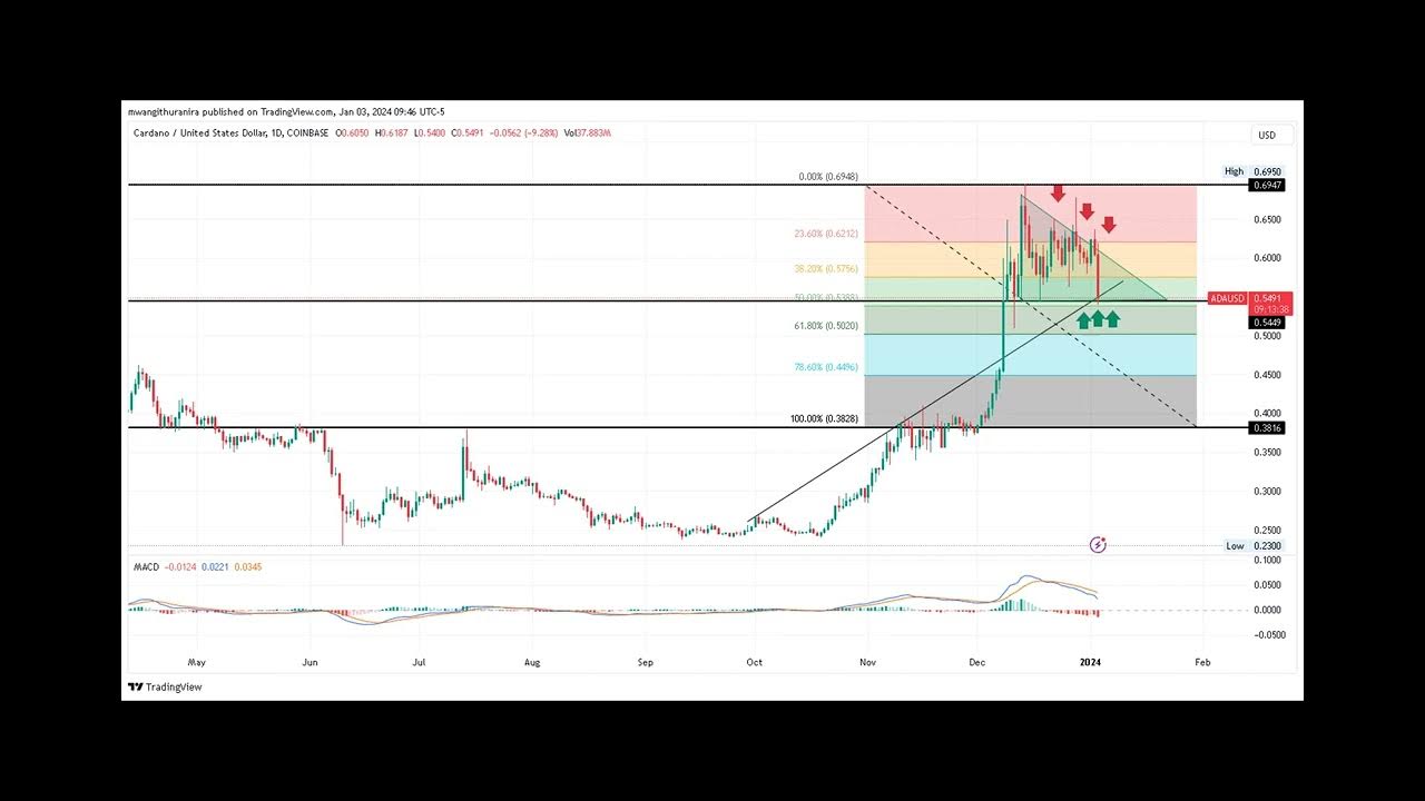 Cardano Price Prediction: Will ADA Surge Amid Expectations Of Remarkable Growth In 2024 - YouTube