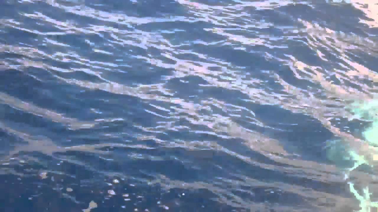 Fishing in American Samoa Pago Pago - YouTube