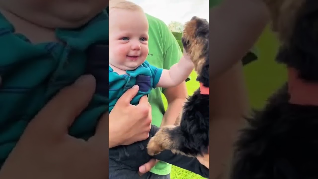 Puppy Love!! - YouTube