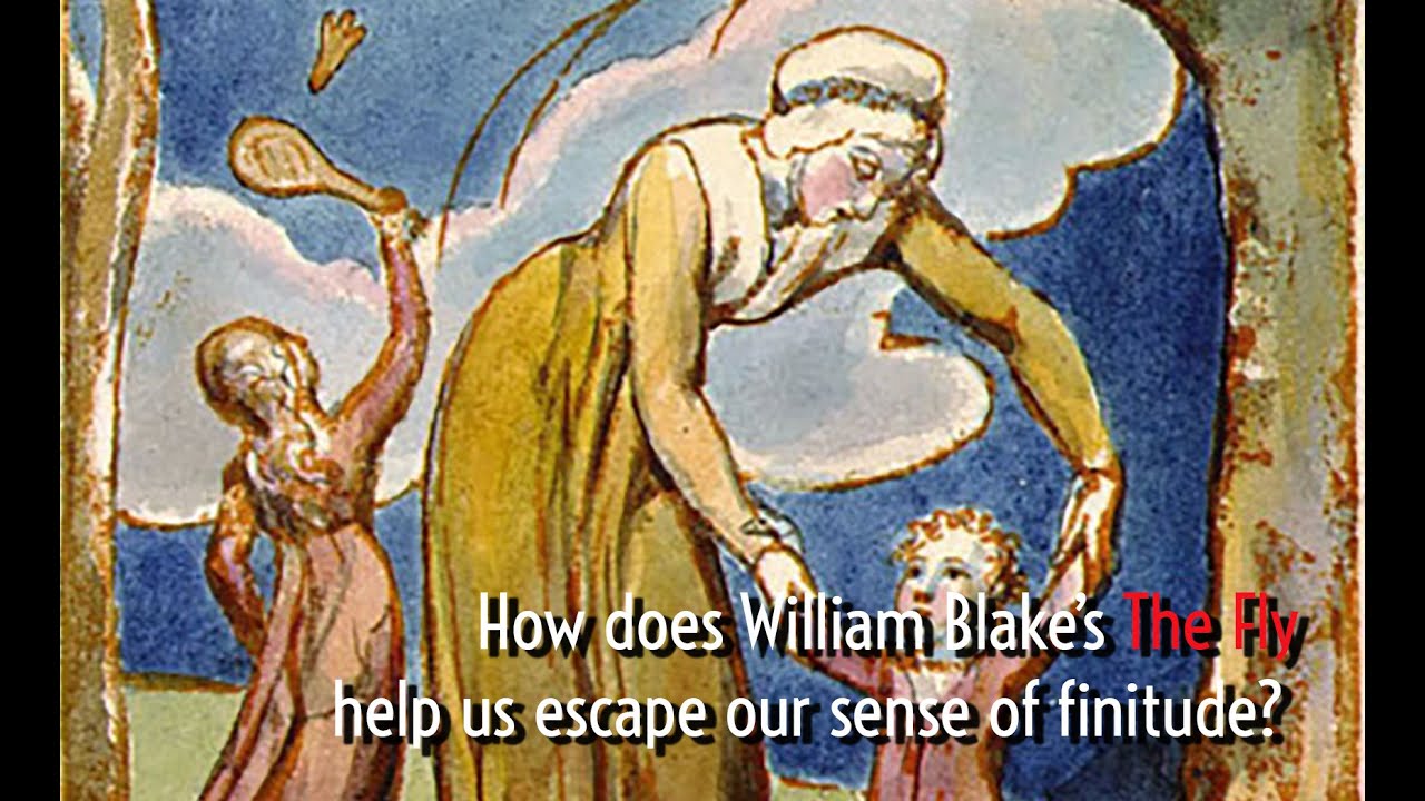 William Rubel on the many readings of William Blake's 'The Fly' - YouTube