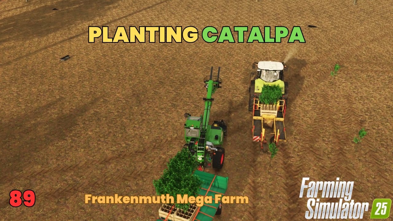 FS25 Frankenmuth Mega Farm Ep 89: STUMP GRINDING, PLANTING CATALPA ...