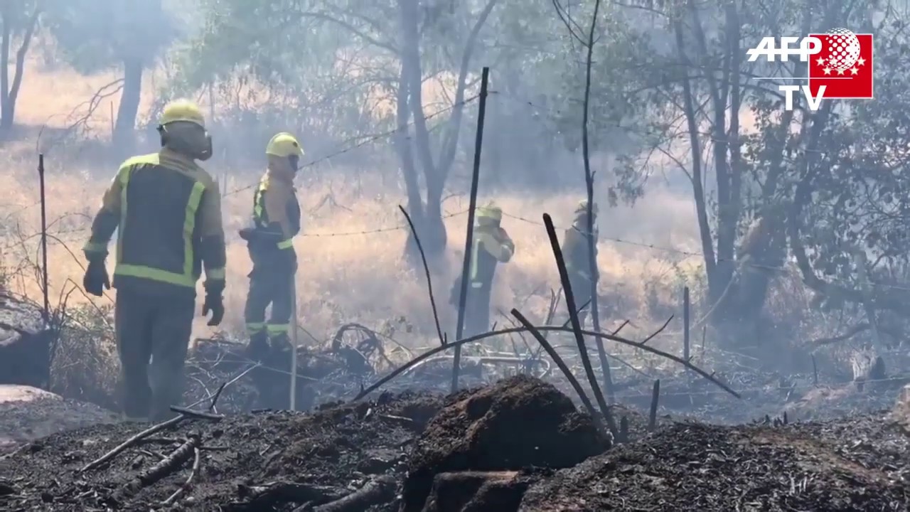 Spain Wildfires; Firefighters Battle Flames Near Madrid - YouTube