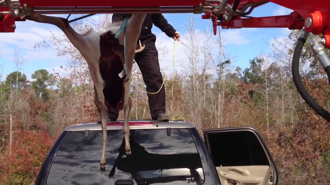 Why you should drive a TRUCK to hunt deer. :) - YouTube