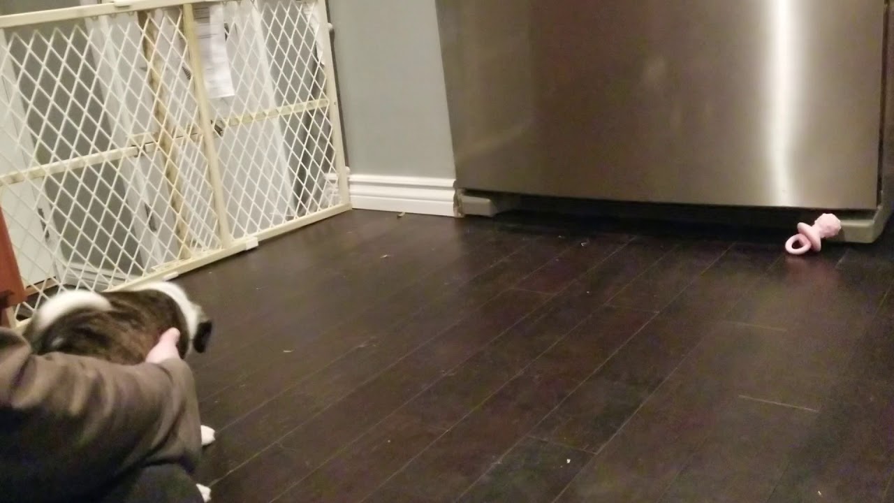 Boomer running - YouTube