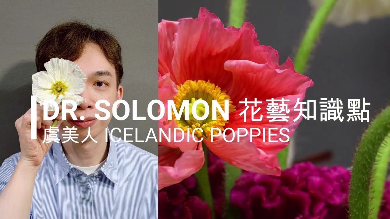 插花藝術知識點 - Poppy篇 | 大師SOLOMON 花藝教室 - YouTube