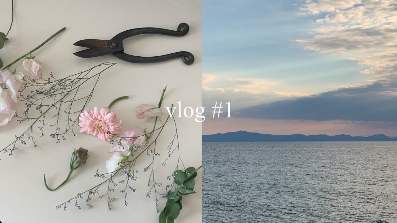 vlog #1 - YouTube