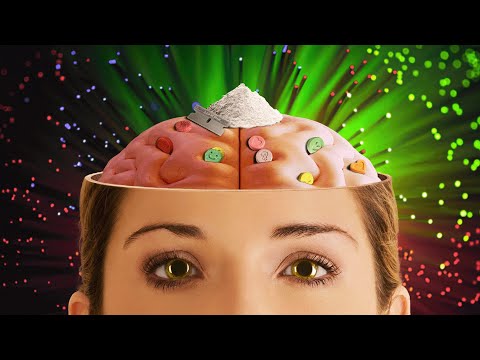 This is your brain on ecstasy