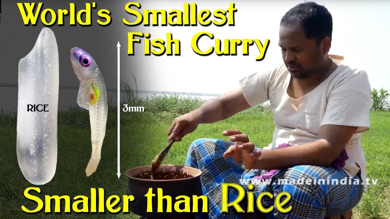 World’s Smallest Fish Curry Making | Smaller Than Rice | COSTLIEST FISH ...