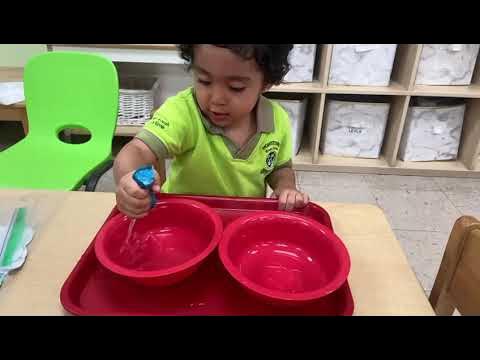 Transferring Water using Sponge #montessori - YouTube
