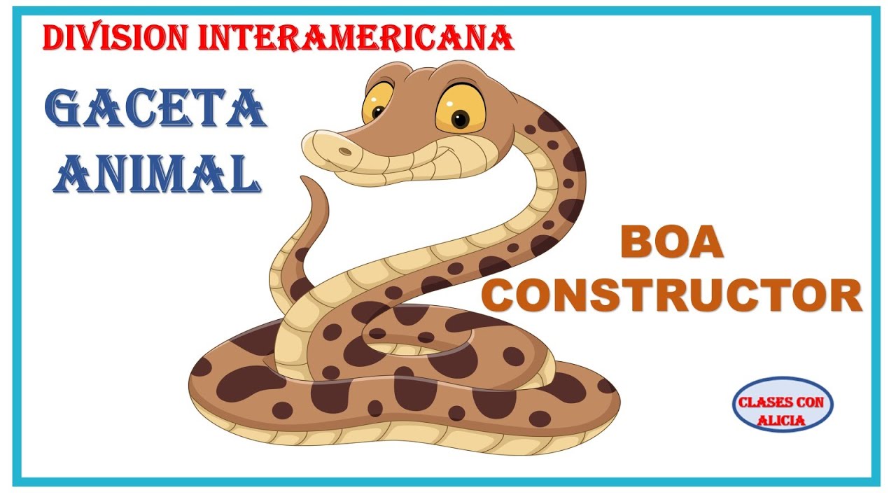 GACETA ANIMAL - BOA CONSTRUCTOR- DIVISION INTERAMERICANA - MINISTERIO ...