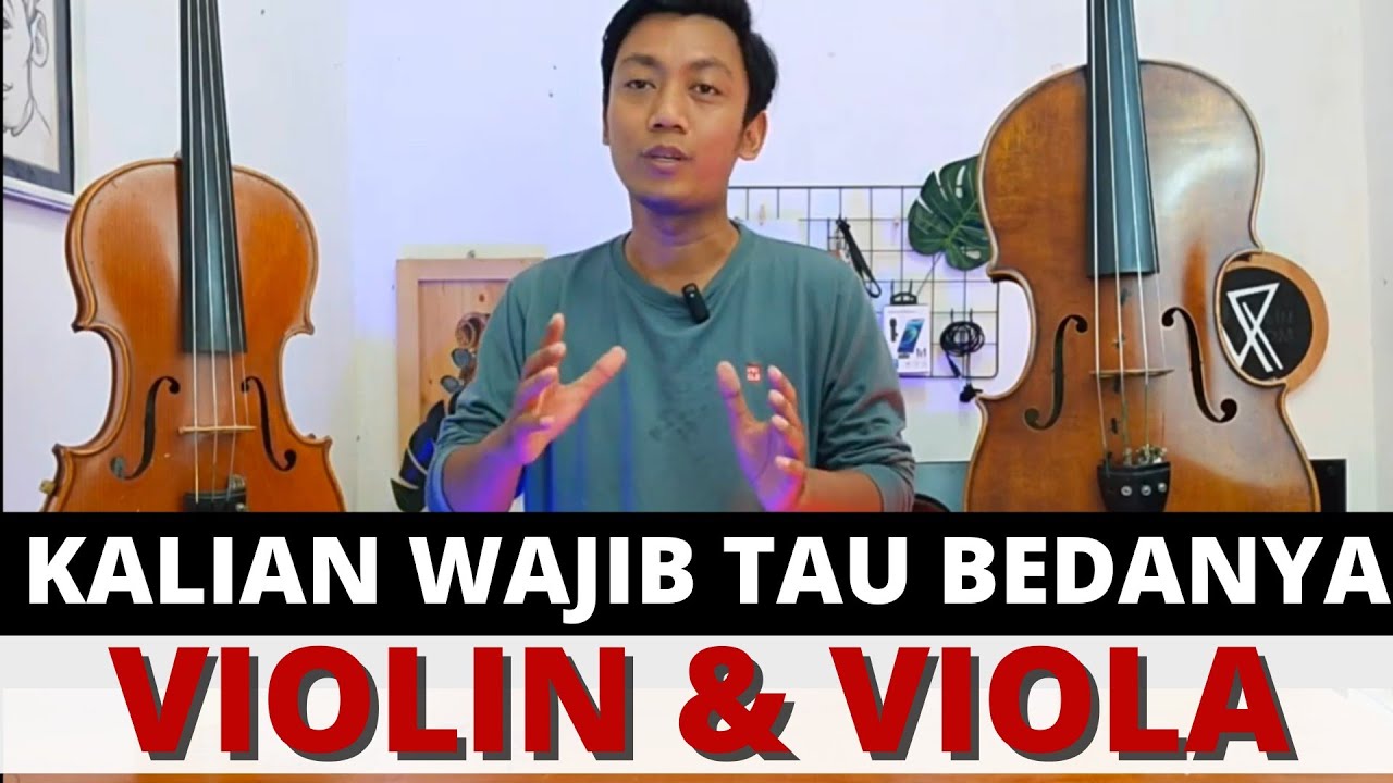 BEDANYA VIOLIN DAN VIOLA ! KALIAN WAJIB TAU INI - YouTube