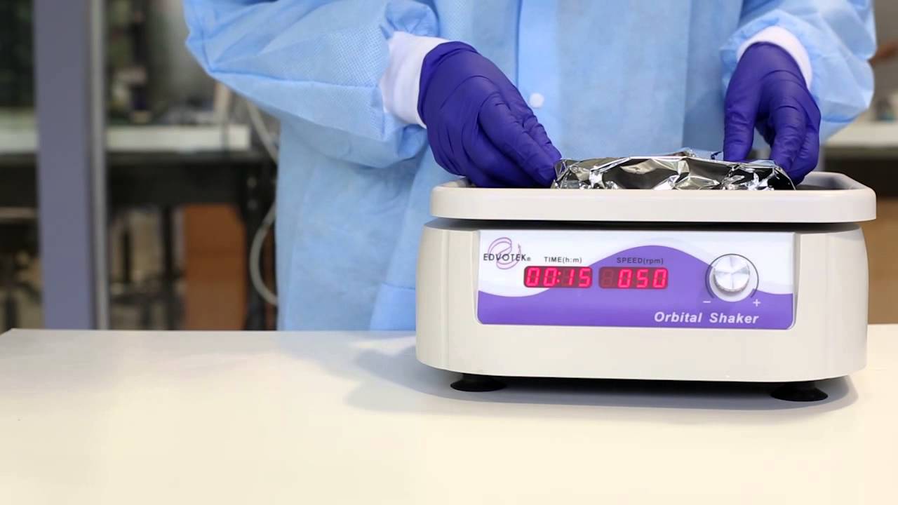 Visualizing DNA using SYBR Safe Stain - YouTube