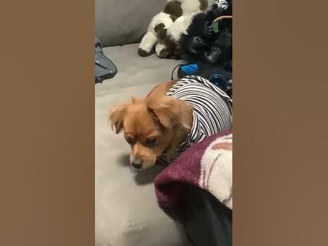 LATE NIGHT POSTS, SHES TIRED SO WE GET A CHANCE TO SEE HER BUT SHE WAS ...