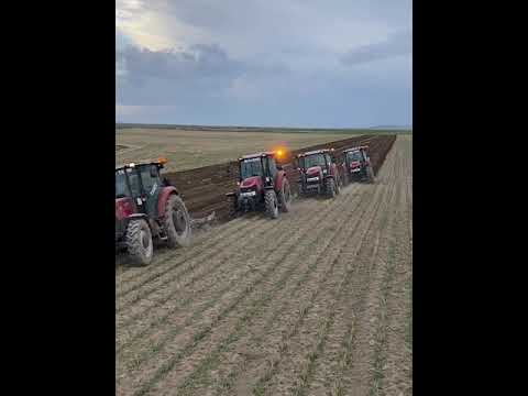 5 Case IH & 1 NewHolland İle Tarla Sürümü