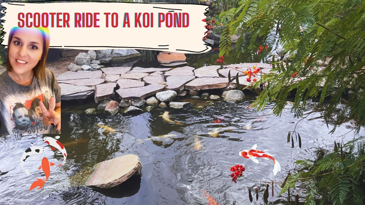 Electric Scooter ride to a beautiful koi fish pond - YouTube