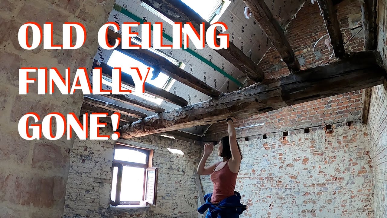 Long-awaited REMOVAL of old ceiling / Our 'dirt-compost experiment ...