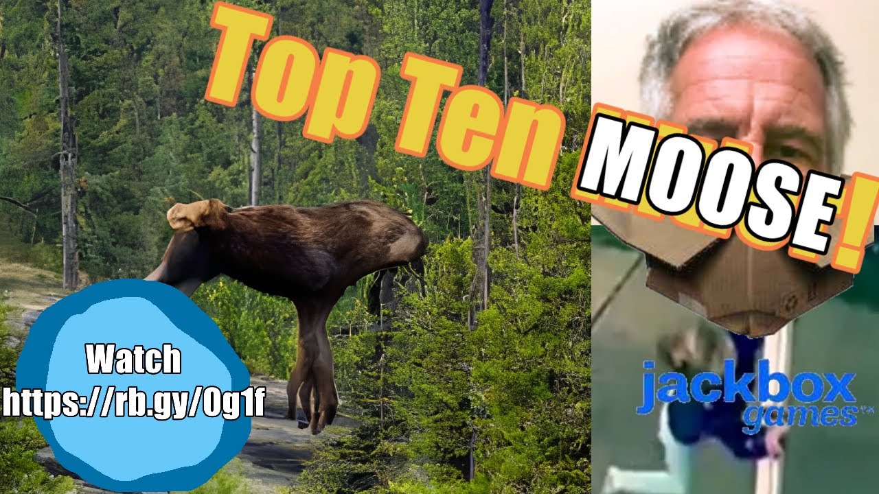 Top 10 Moose (v36/Hitler) - YouTube