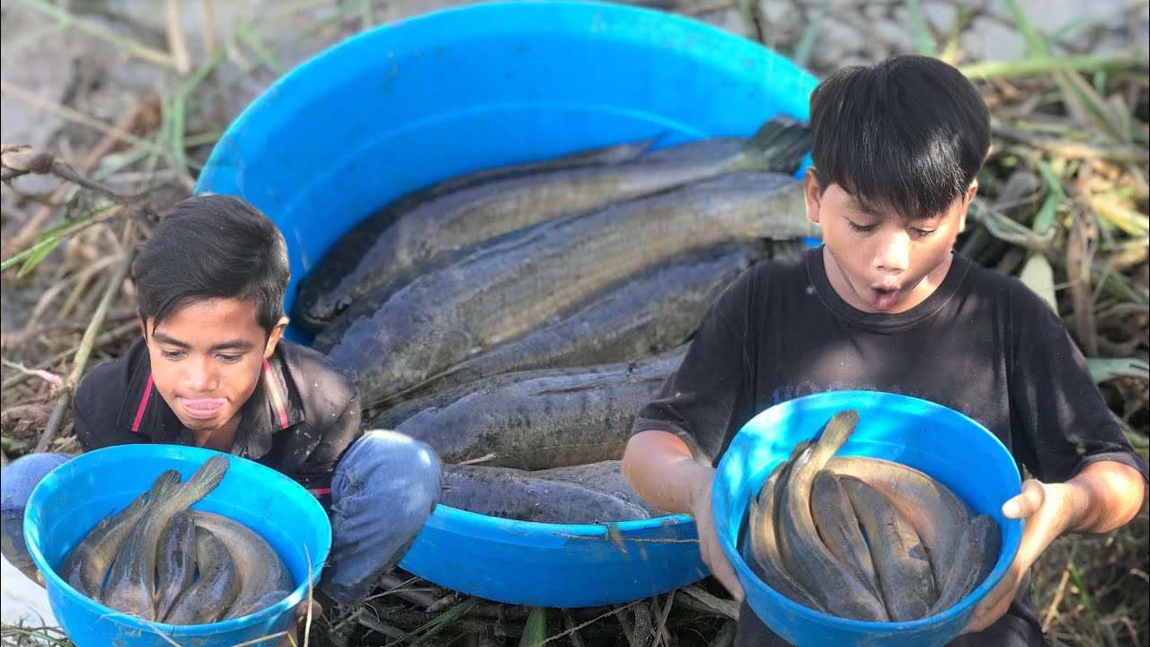 OMG! Really good boy fishing-There are so many big fish, they catch ...