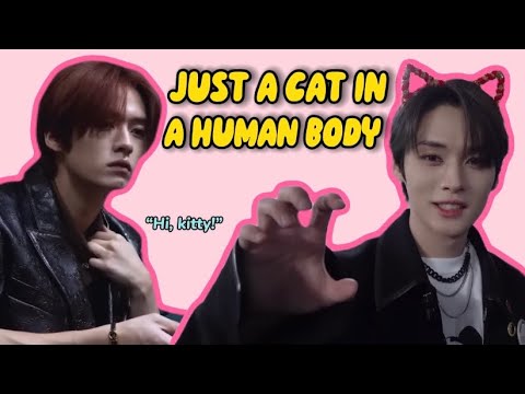 Lee Know is a Cat Stuck in a Human Body