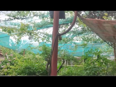 WITH KULAMBO - YouTube