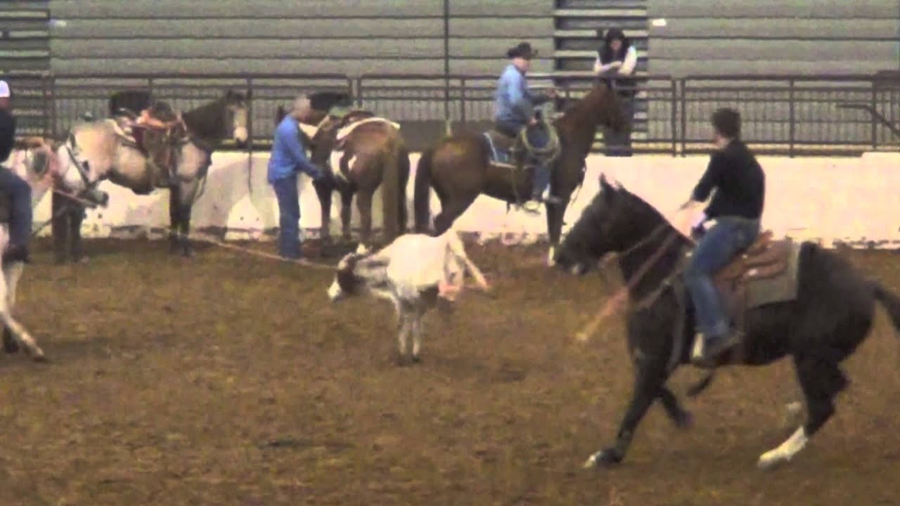Team Roping - YouTube