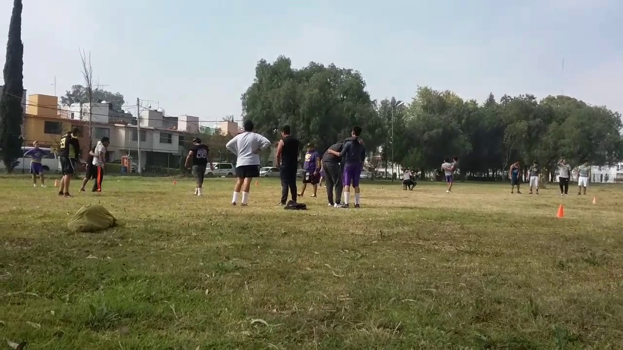 Checi checi - YouTube