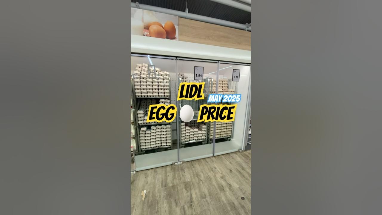 Lidl NYC Egg Price 🥚 #nyc #egg #eggprice subscribe for more - YouTube