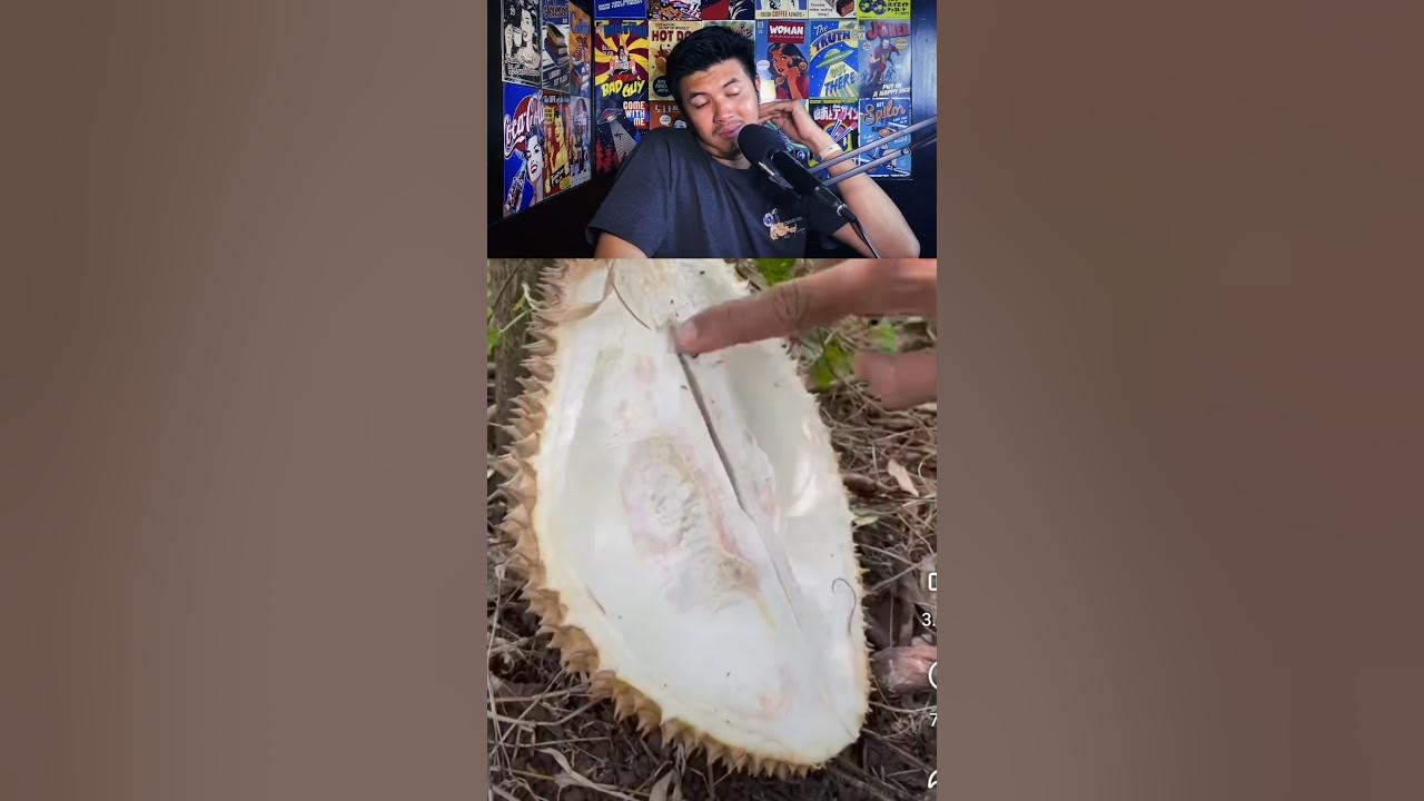 Cara makan durian terenak. #reactionseadanya #reaction #reactionmemelucu #lucu #durian - YouTube