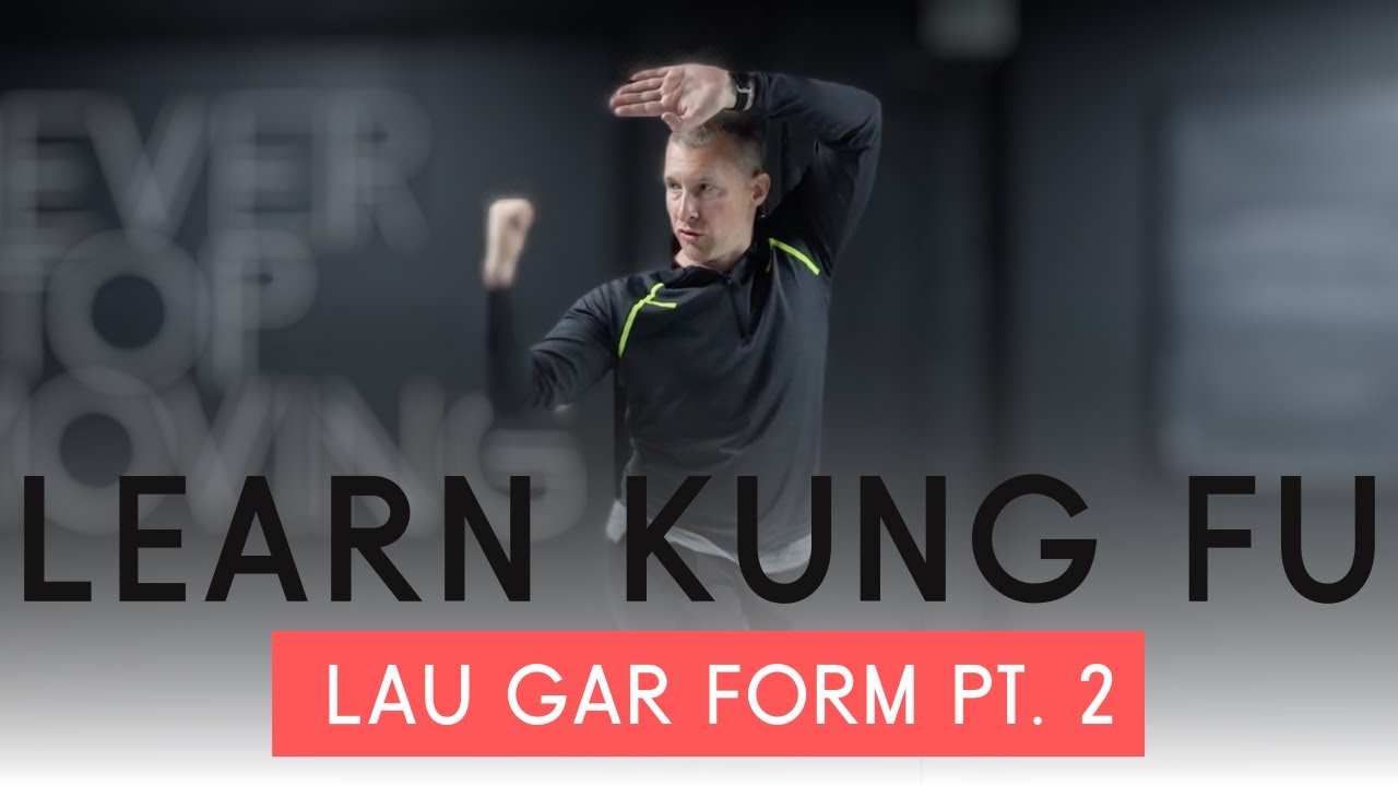 Learn Lau Gar Kung Fu Part 2 Youtube