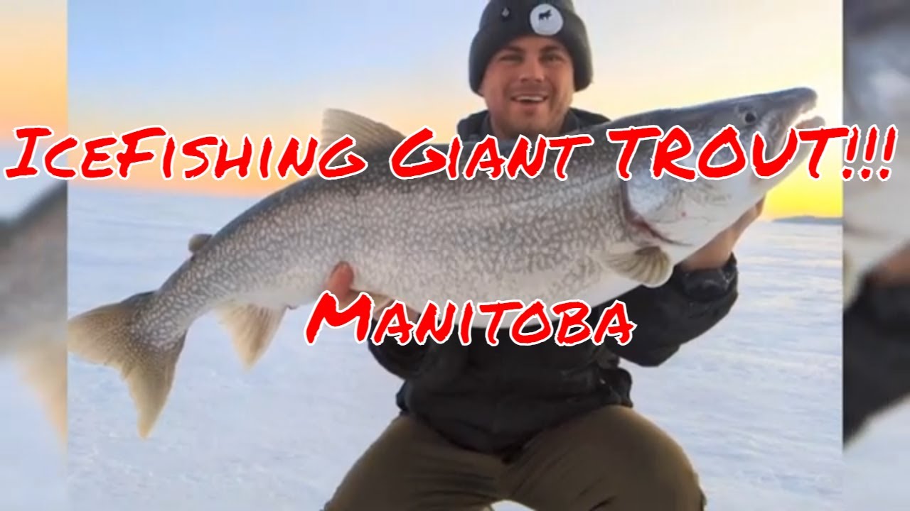 ICE FISHING LAKE TROUT!!! - Last Minute Giant Catch (CLEARWATER LAKE ...