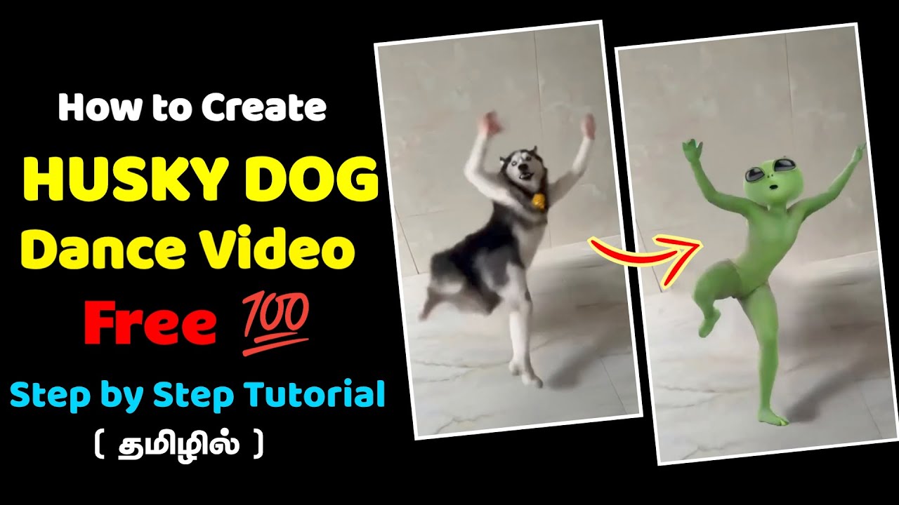 How to Create Husky Dog Dance Video | Ai Dance | Face swap | viggle Ai ...