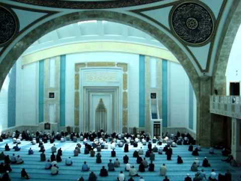 Hafız Ali TEL - Fecr Suresi: 6-21. ayetler