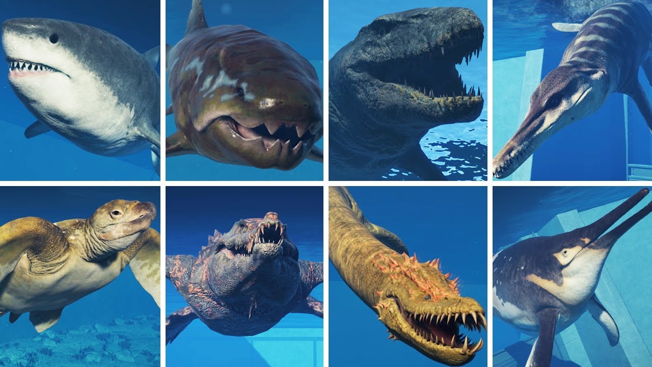 ALL AQUATIC CREATURES - Jurassic World Evolution 2 - YouTube