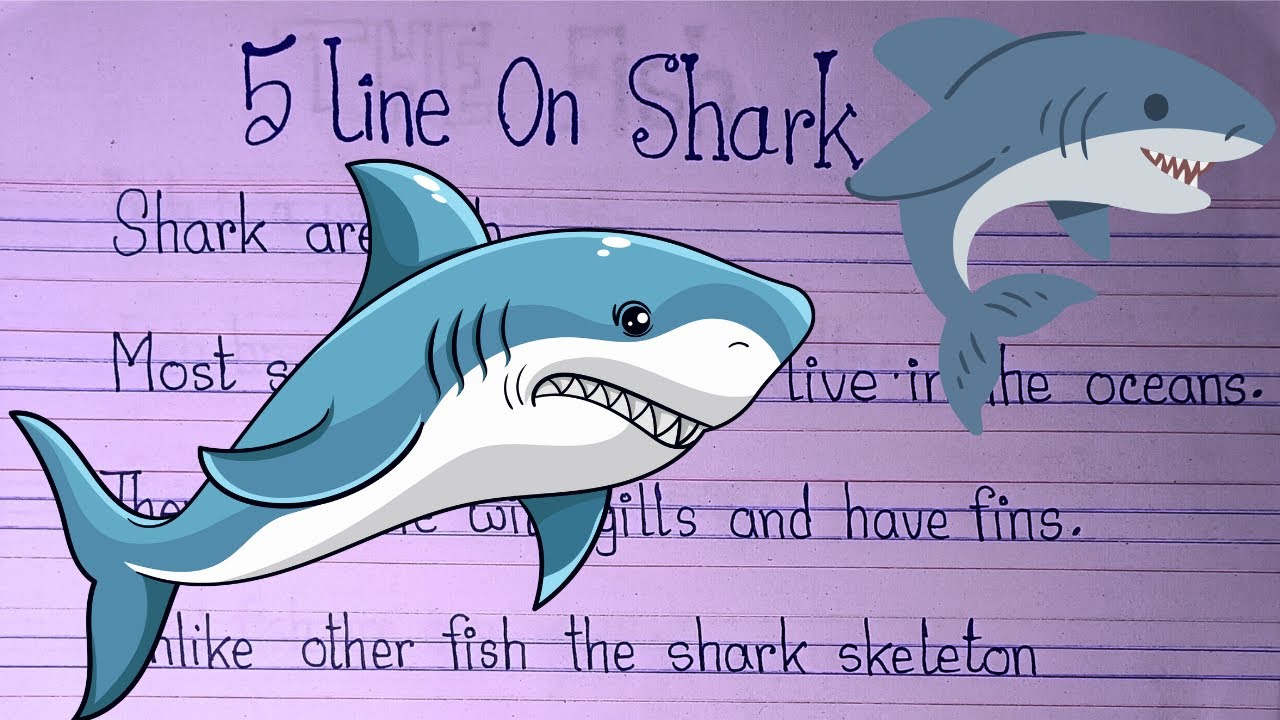 Few Lines about Shark | 5 | Five Lines about SHARK | 5 Lines on Shark ...