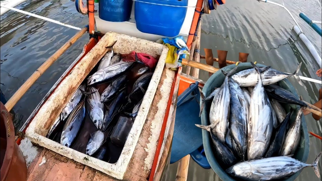 MEGA JACKPOT SA GULYASAN | KUNTI NALANG PUNO NA | HANDLINE FISHING ...