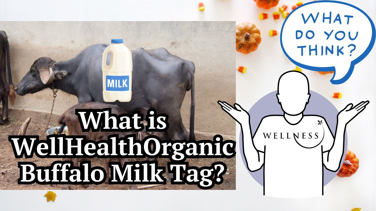 What is WellHealthOrganic Buffalo Milk Tag? - YouTube